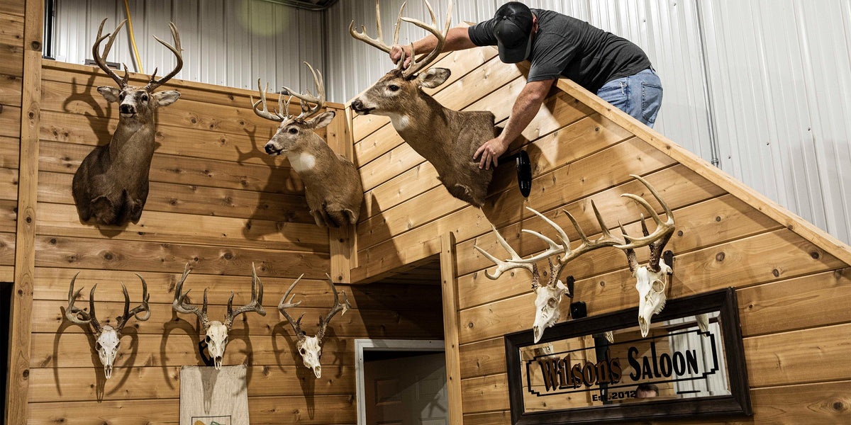 How To Design Your Trophy Room | Full Range Hanging System