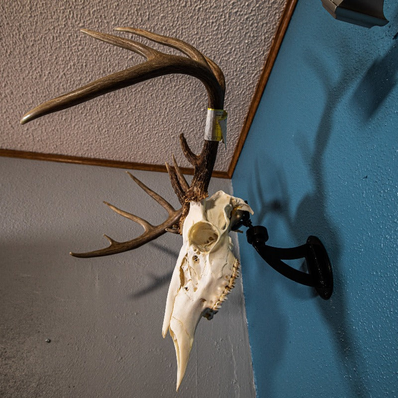 Skull System | Full Range Hanging System